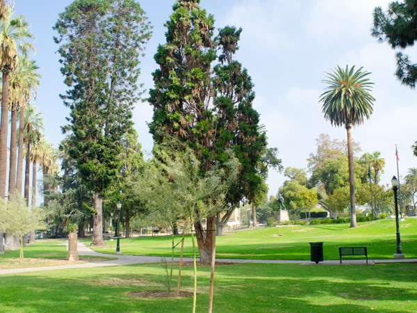 Pasadena Memorial Park | TCLF