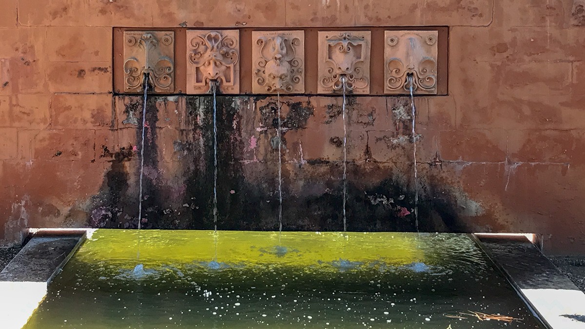 The John Fairey Garden | TCLF