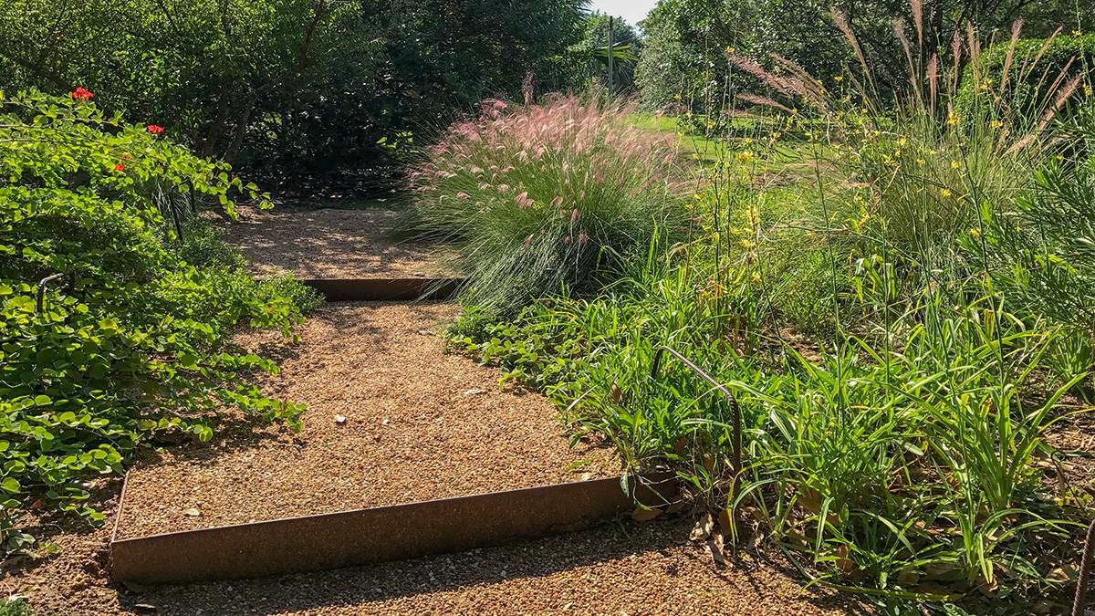 The John Fairey Garden | TCLF