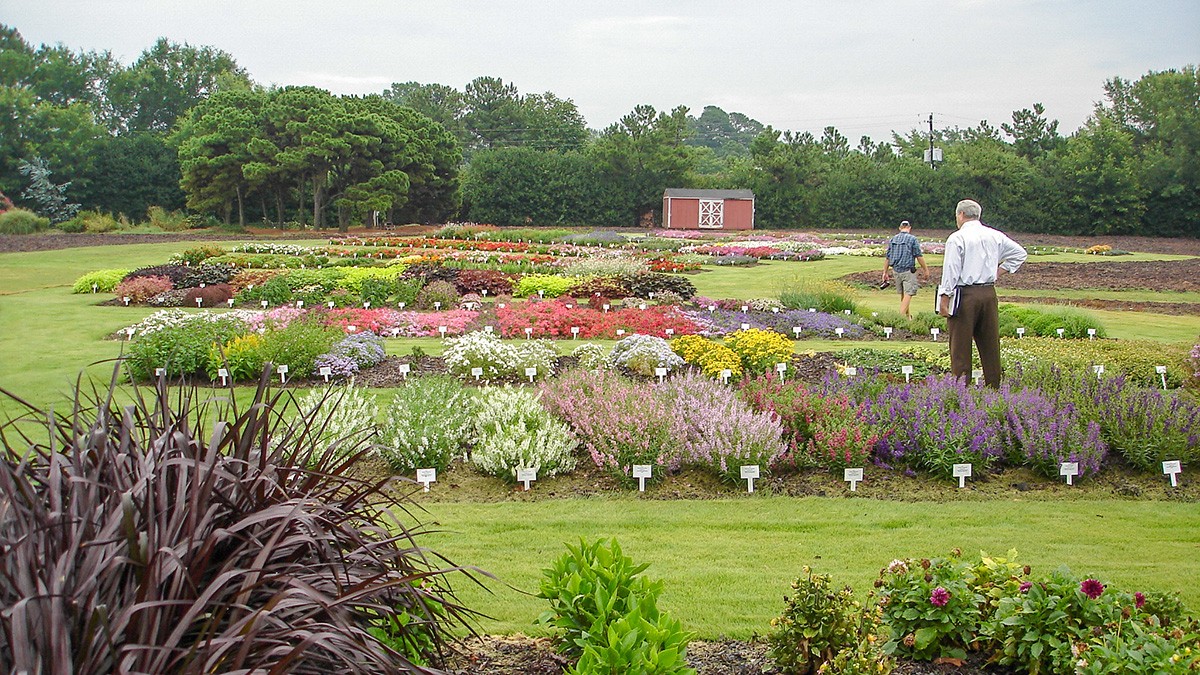 JC Raulston Arboretum | TCLF
