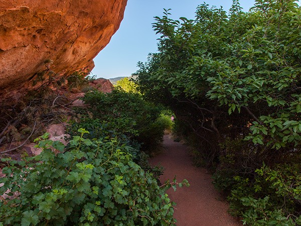 Red Rocks Park | TCLF