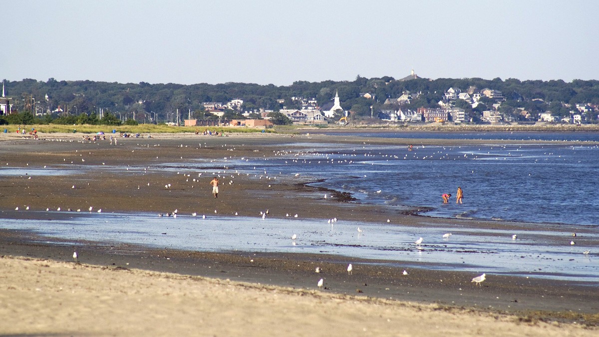 Revere Beach Reservation | TCLF