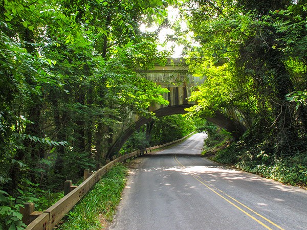 Riverside Drive | TCLF