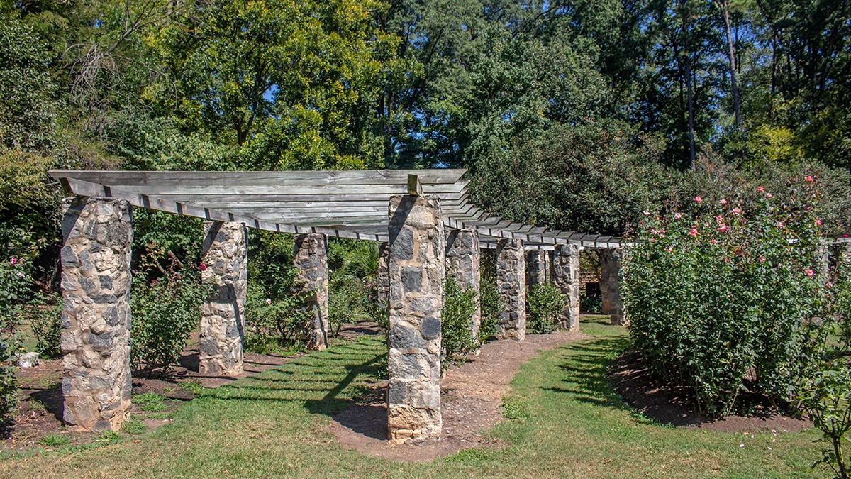 The Raleigh Rose Garden – Raleigh Little Theatre | TCLF