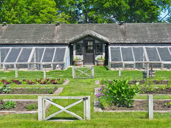 SVF Foundation | TCLF