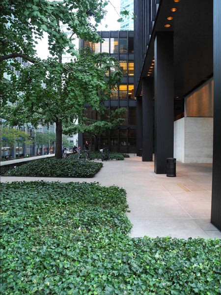 Seagram Building and Plaza | TCLF Seagram Building and Plaza | TCLF