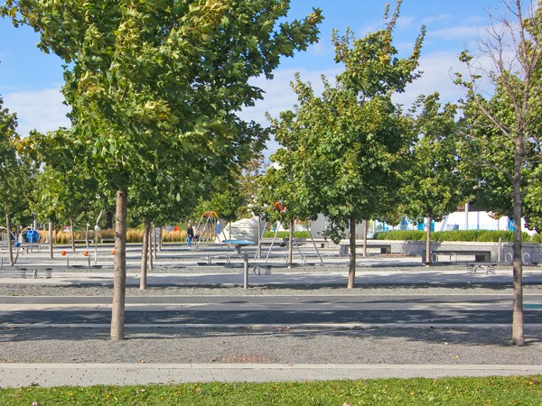 Sherbourne Common | TCLF