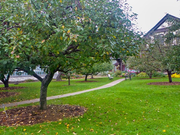 Spadina Museum | TCLF