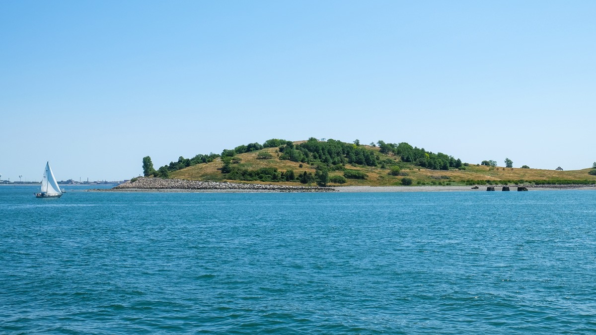 Spectacle Island | TCLF