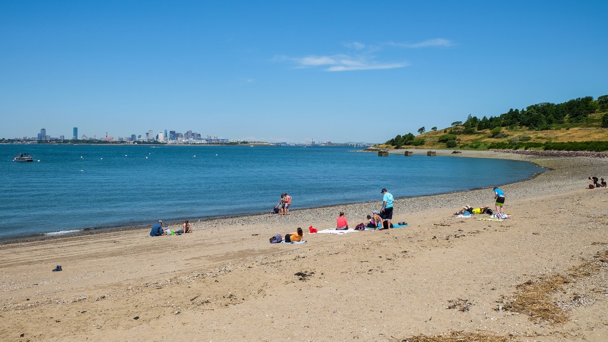 Spectacle Island | TCLF