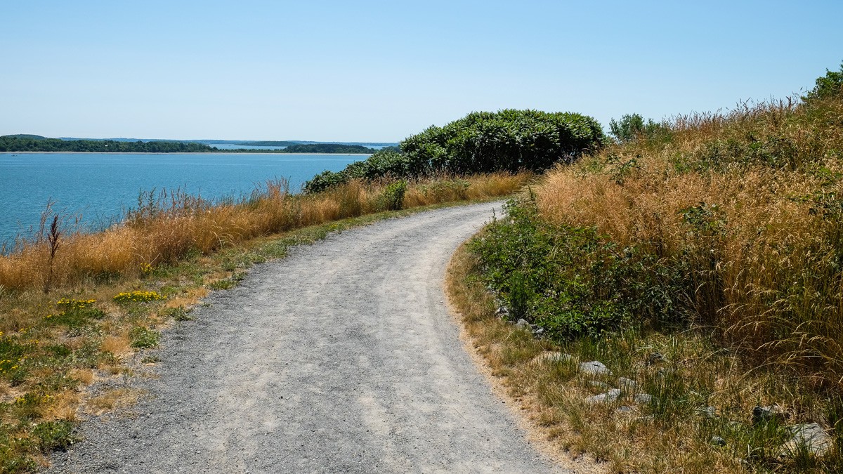 Spectacle Island | TCLF