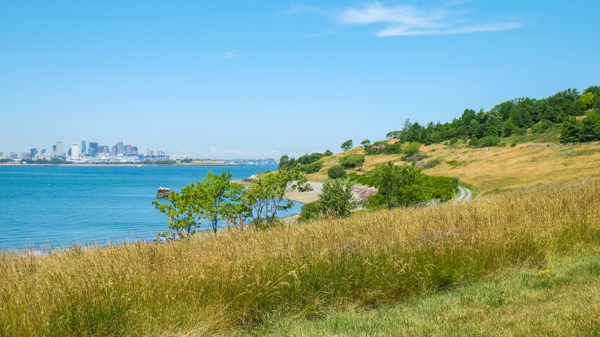 Spectacle Island | TCLF