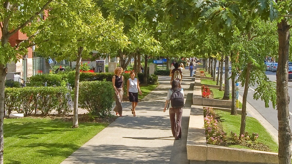 St. George Street | TCLF