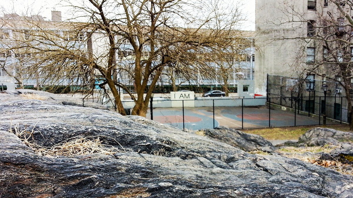 St. Mary's Park | TCLF