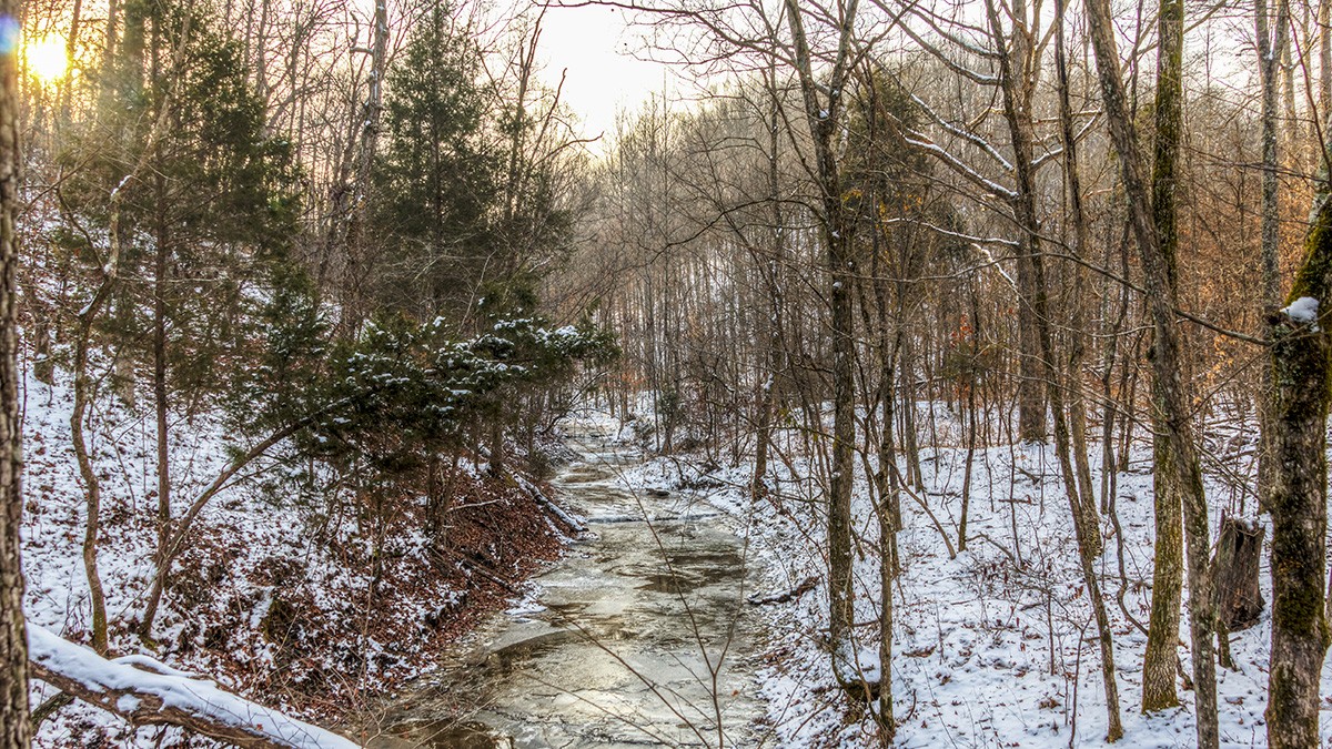 Beaman Park | TCLF