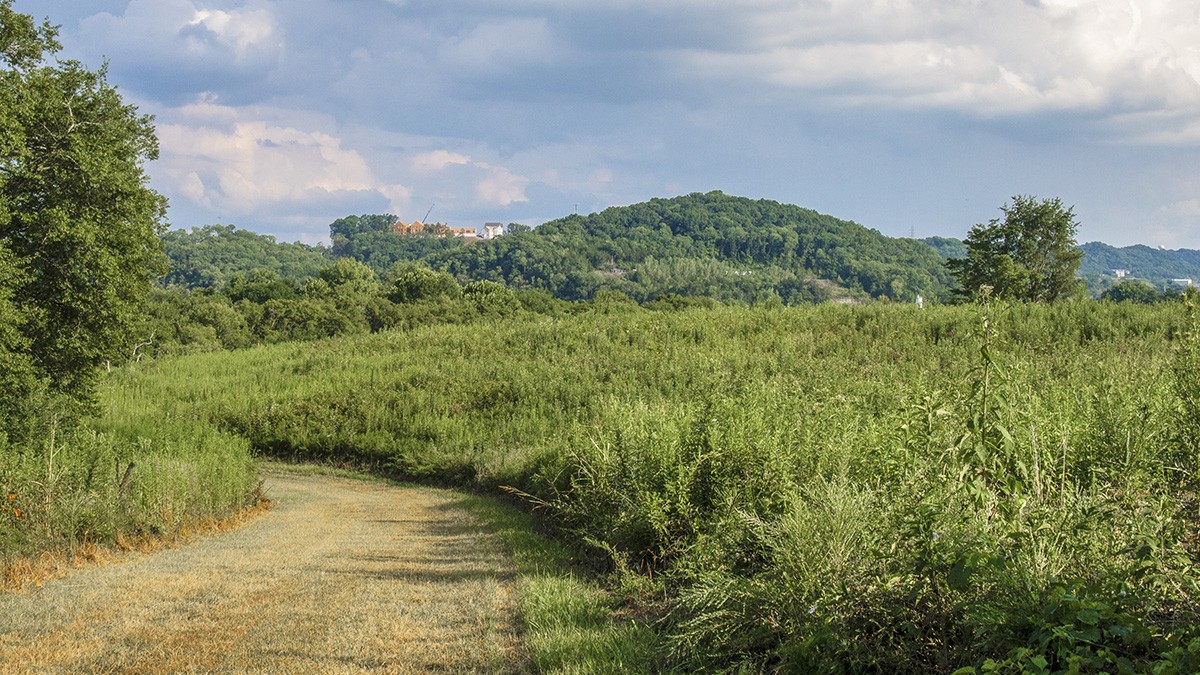 Bells Bend Park | TCLF