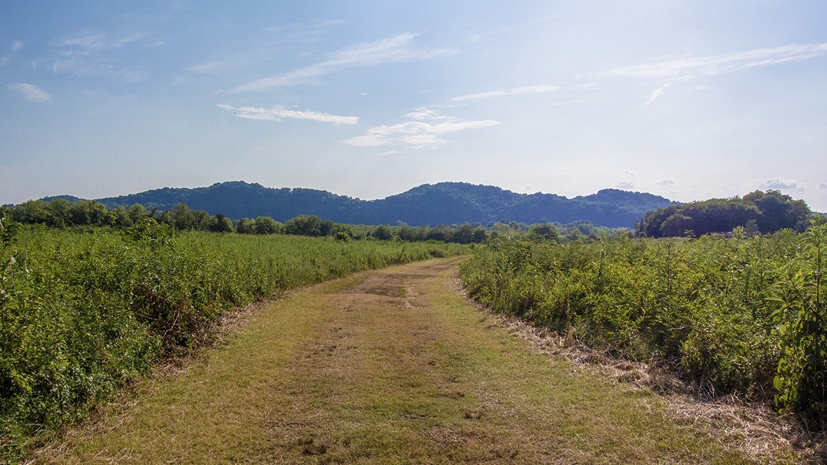 Bells Bend Park | TCLF