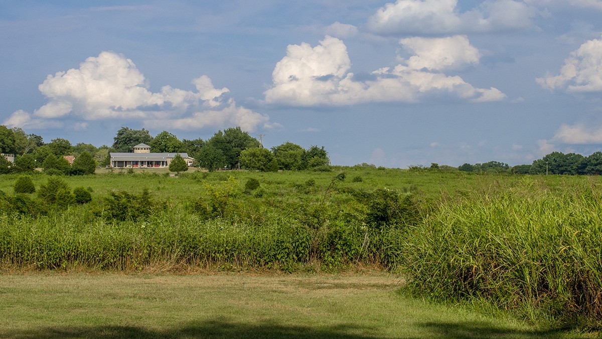 Bells Bend Park | TCLF