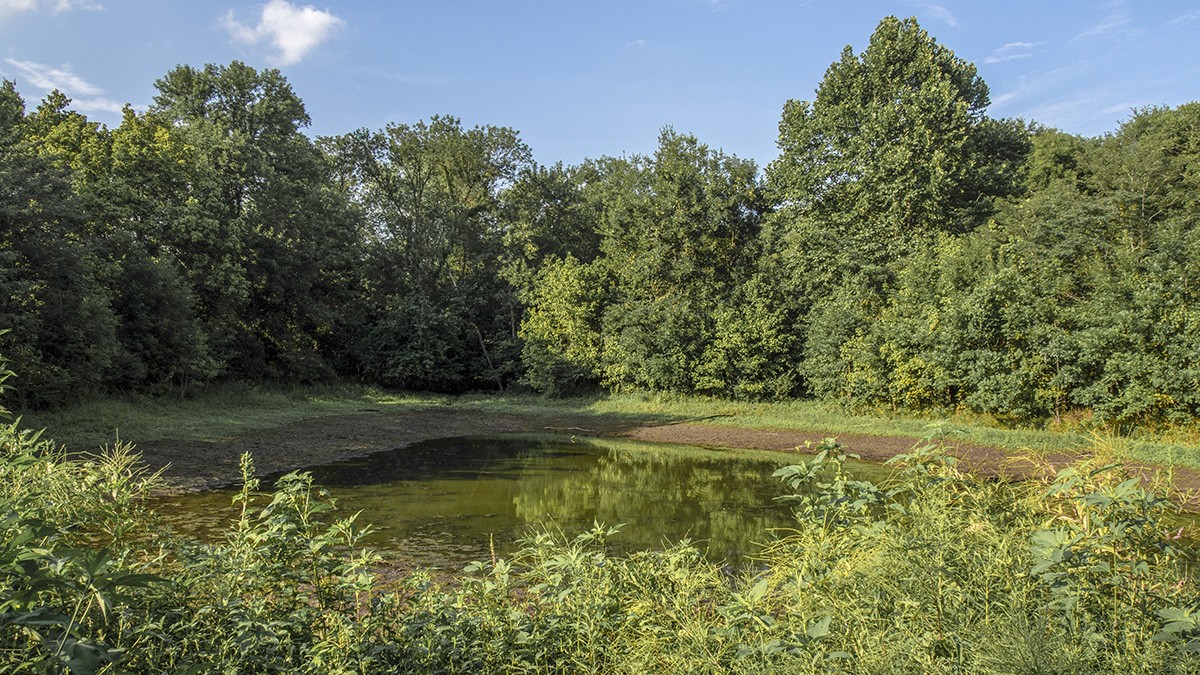 Bells Bend Park | TCLF