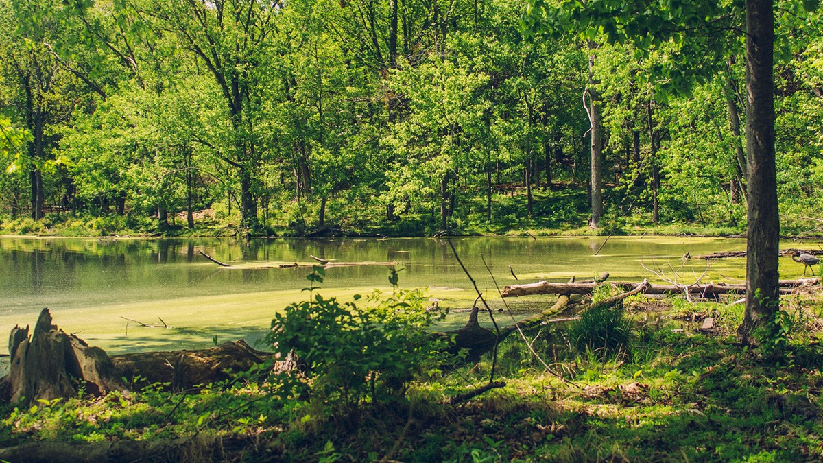 Radnor Lake State Park | TCLF