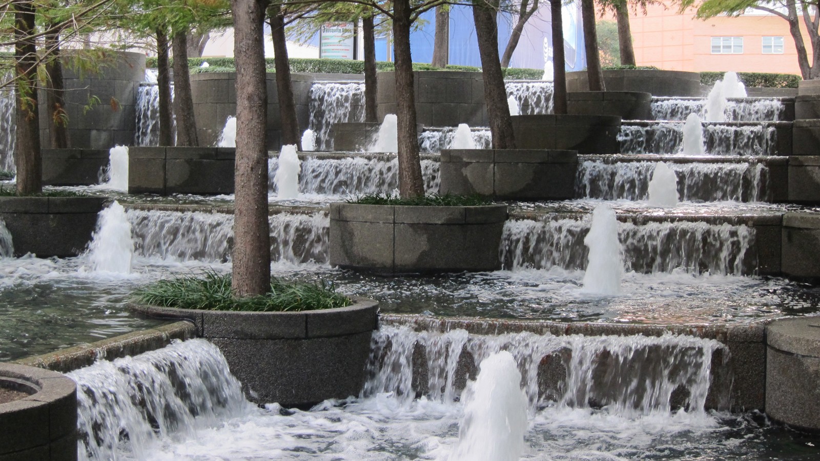 Peter Ker Walker | TCLF