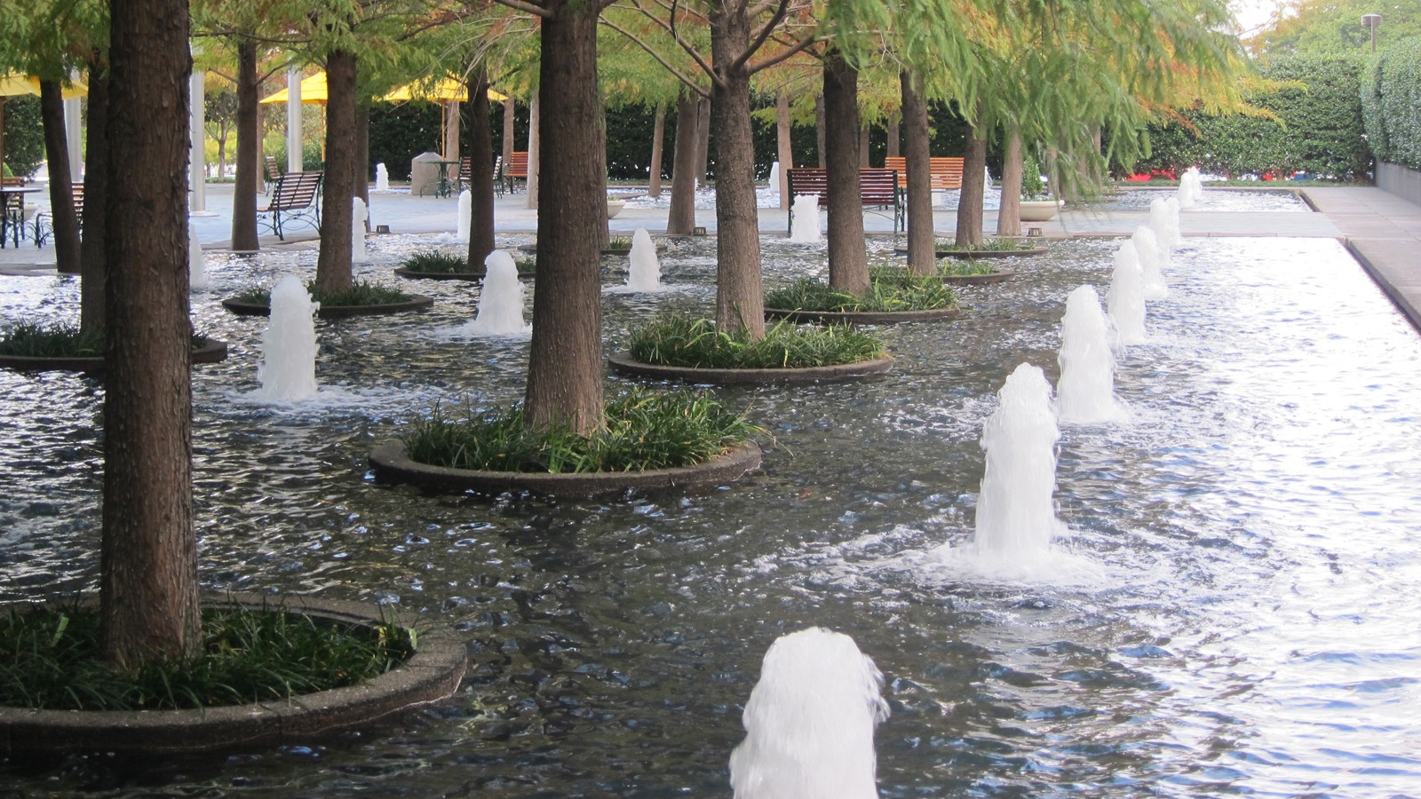 Peter Ker Walker | TCLF