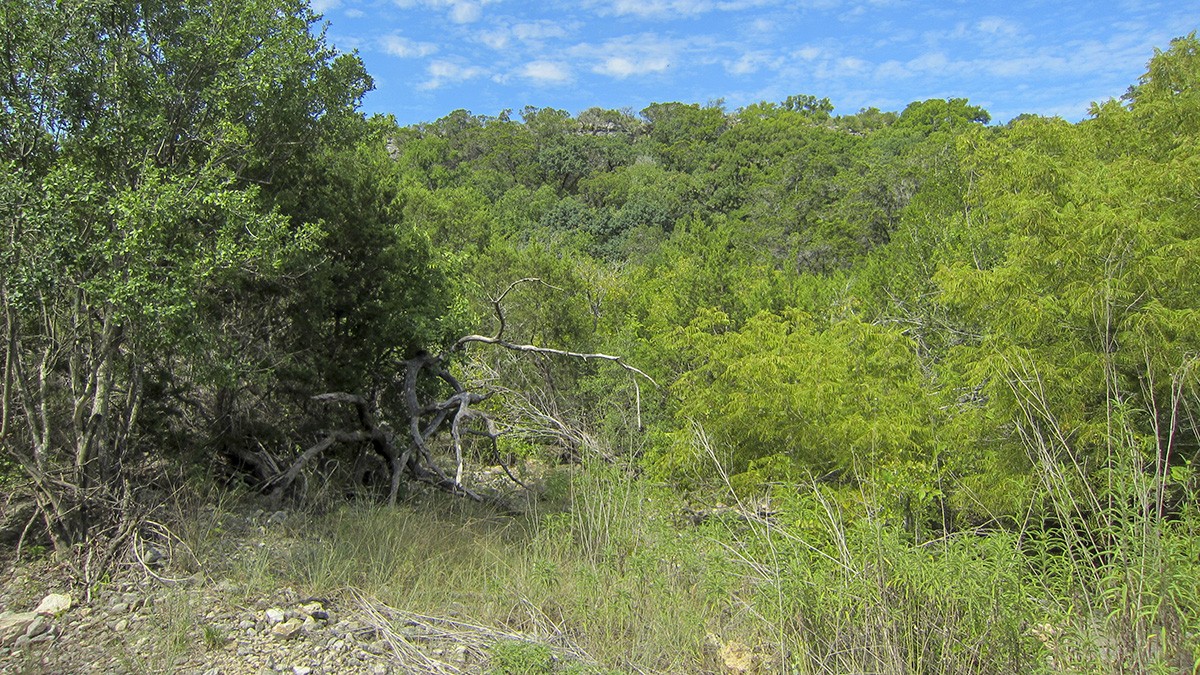Government Canyon State Natural Area | TCLF
