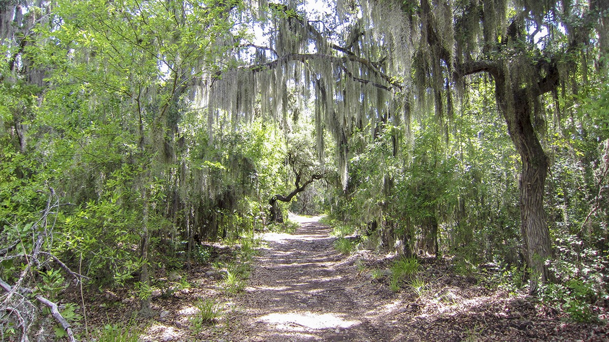 Government Canyon State Natural Area | TCLF