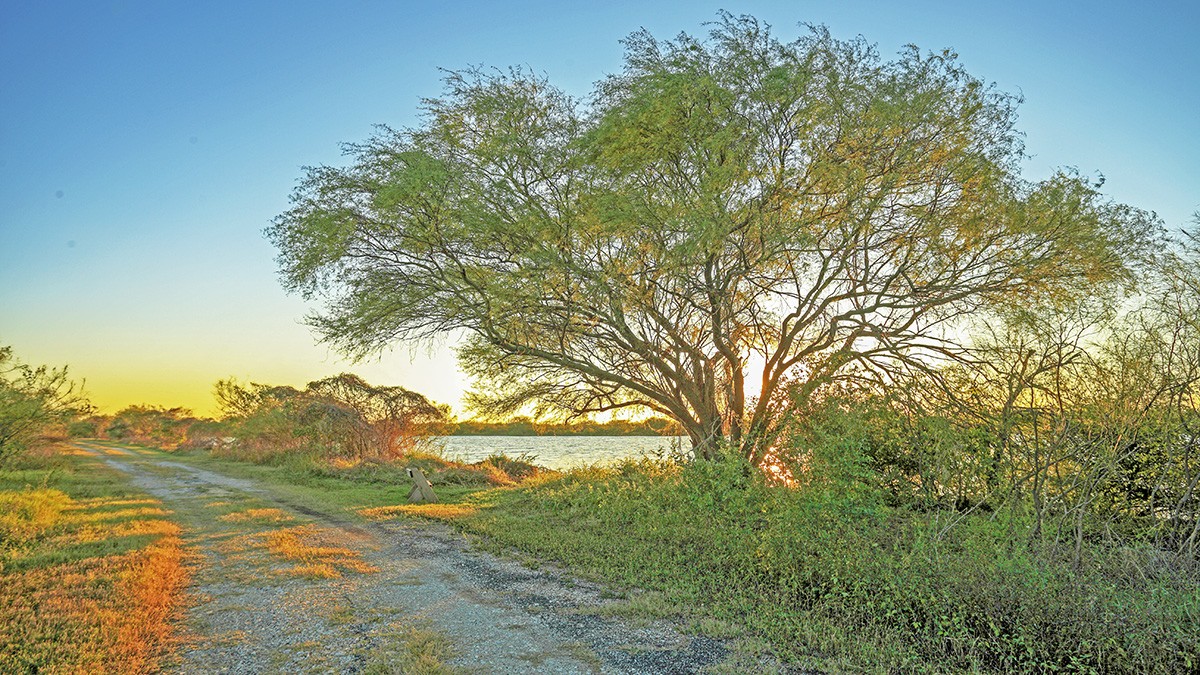 Mitchell Lake | TCLF