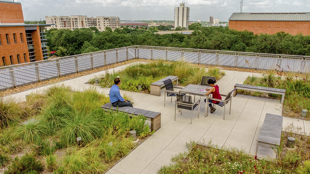 Trinity University | TCLF