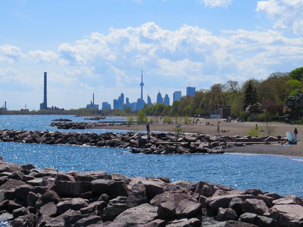 Toronto Waterfront | TCLF