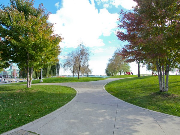 Toronto Waterfront | TCLF