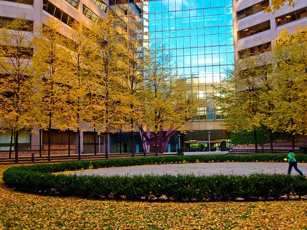 Trinity Square | TCLF