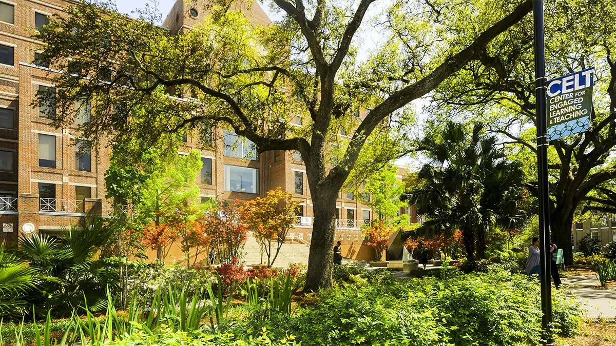 Tulane University | TCLF