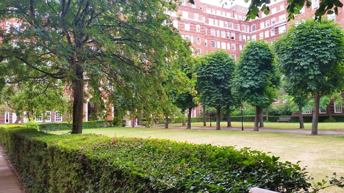 Dolphin Square Gardens | TCLF