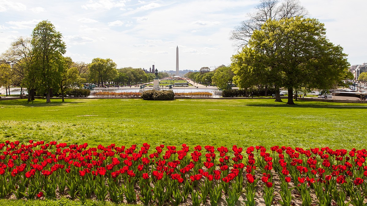 U.S. Capitol Grounds | TCLF