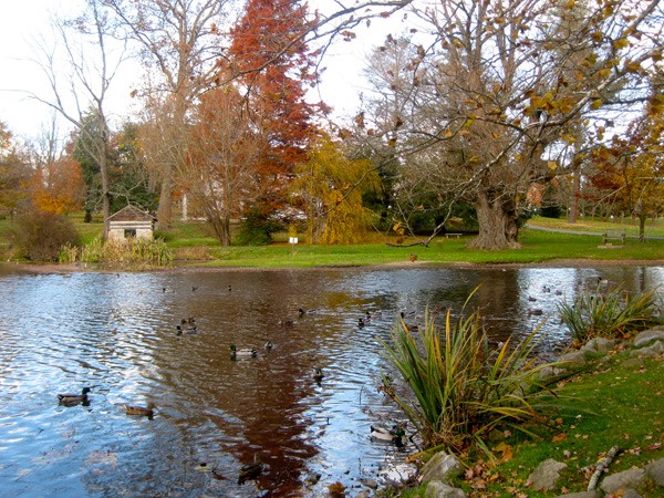 Virginia Tech Duck Pond | TCLF