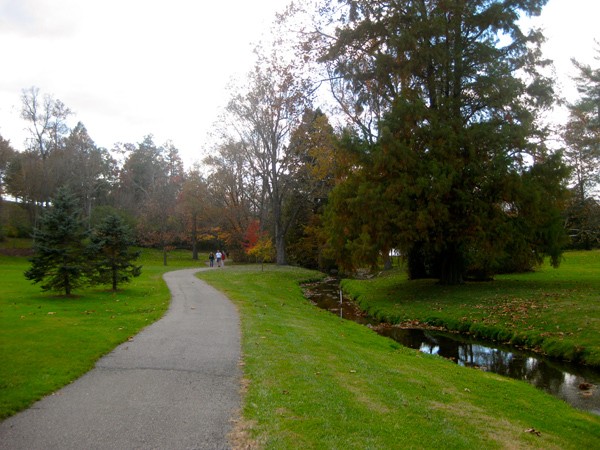 Virginia Tech Duck Pond | TCLF