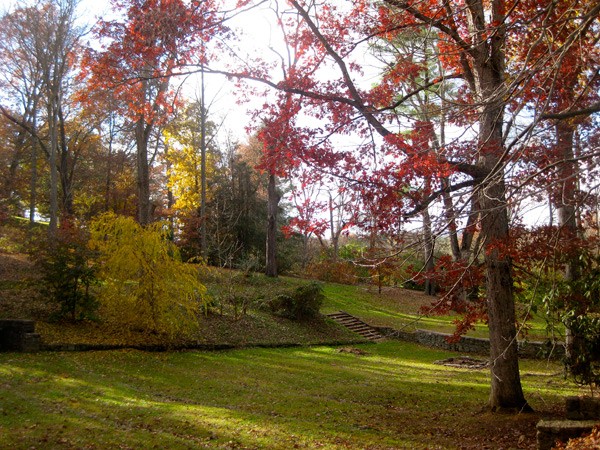 Virginia Tech Duck Pond | TCLF