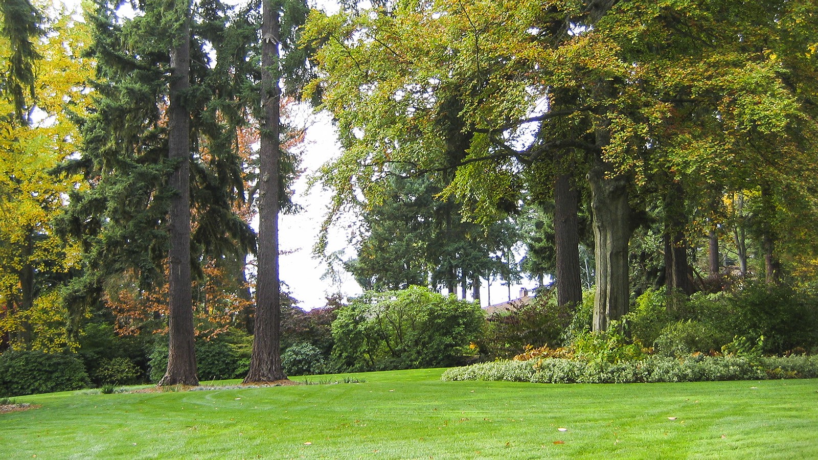 James Frederick Dawson | TCLF