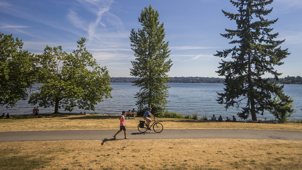 Seward Park - WA | TCLF