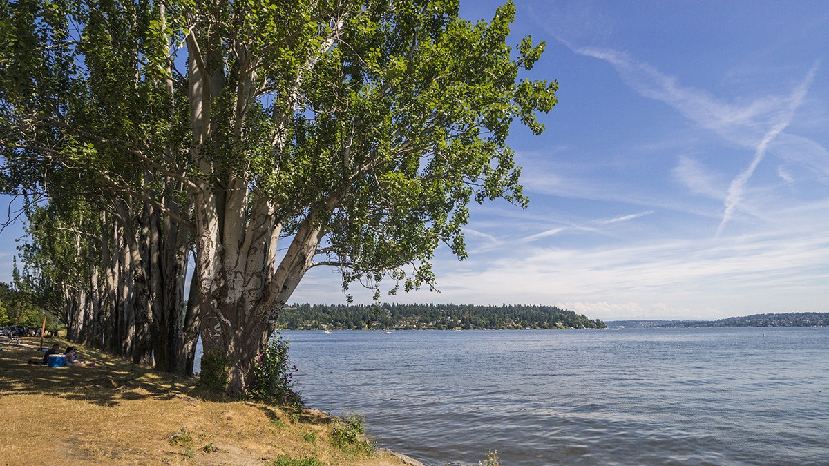 Seward Park - WA | TCLF