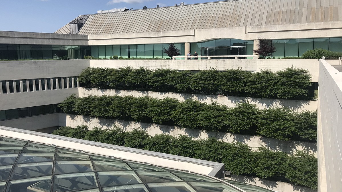 Embassy of Canada to the United States, Washington | TCLF