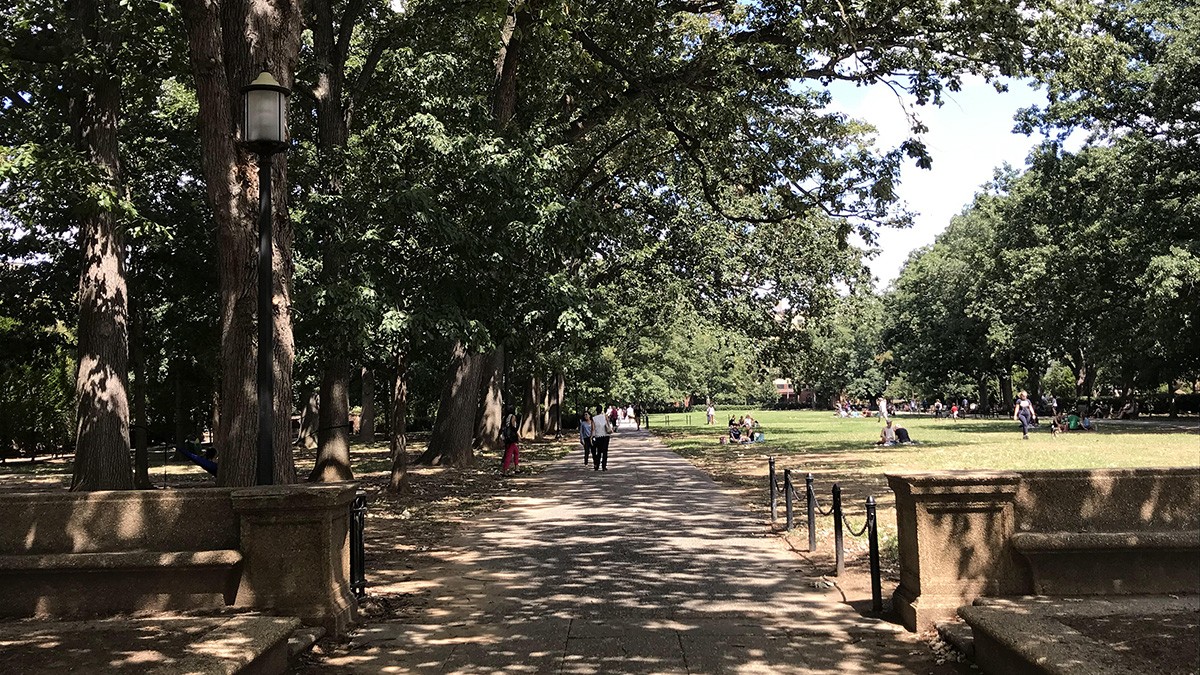 Meridian Hill Park | TCLF