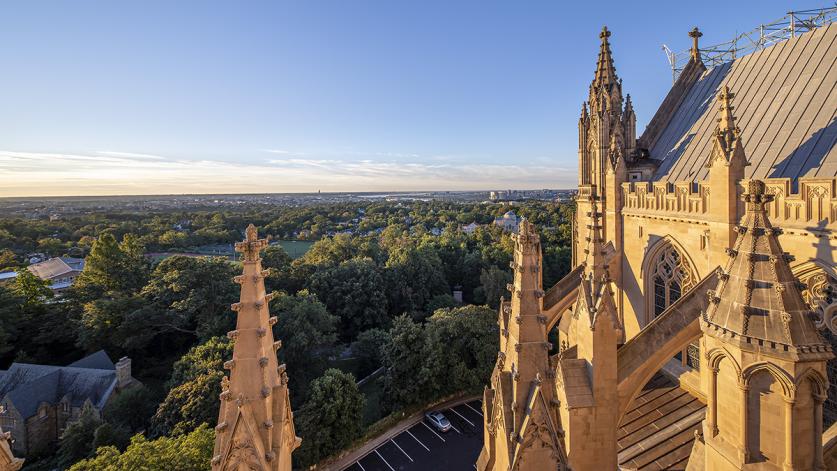 New Report and Digital Exhibition –Landslide® 2022: The Olmsted Design ...