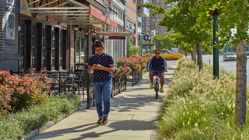 Walks & Talks 2021: Pike & Rose with Sandra Clinton | The Cultural ...