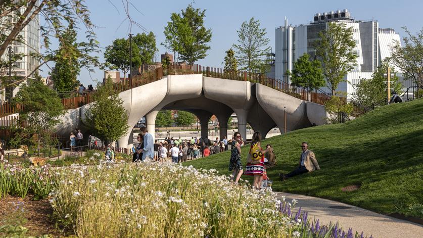 Field Sessions: Little Island with Signe Nielsen | The Cultural ...