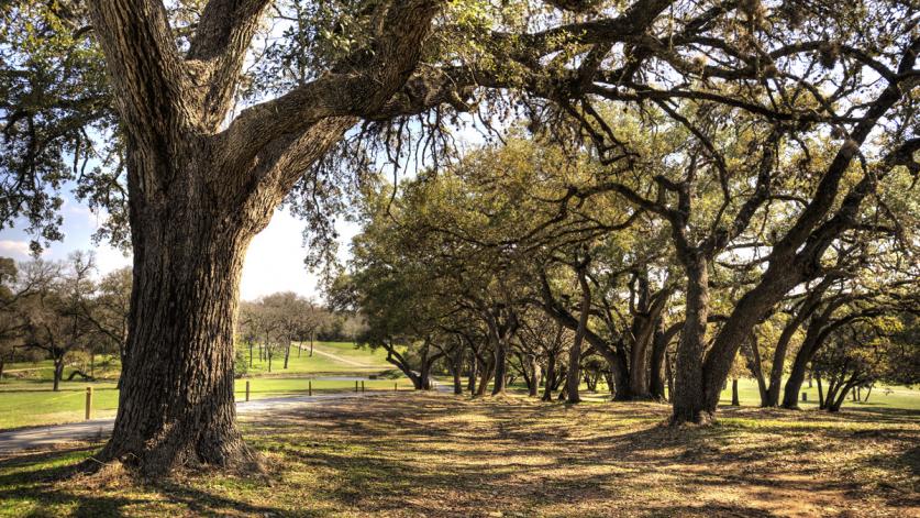 New Developments at Lions Municipal Golf Course | The Cultural ...