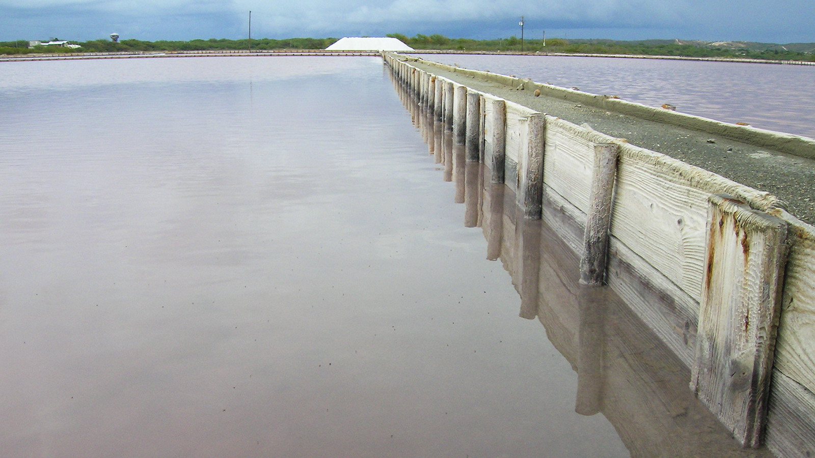 Cabo Rojo Salt Flats (Salinas de Cabo Rojo) | TCLF