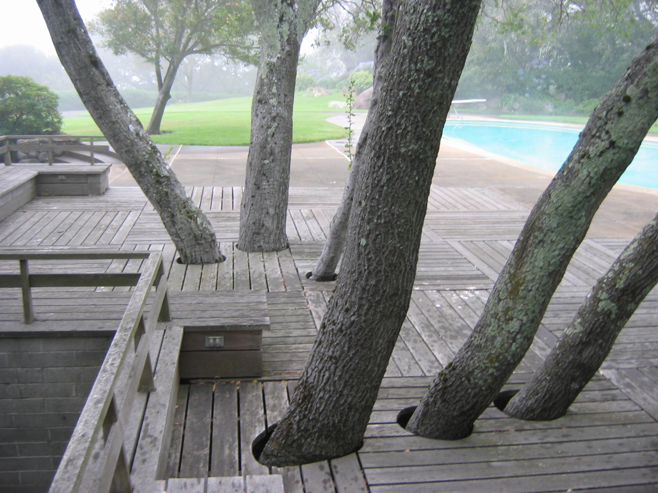 Donnell Garden | The Cultural Landscape Foundation